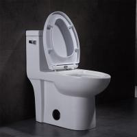 China 1 One Piece Elongated Toilet 15