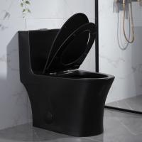 China Comfort Height One-Piece Elongated Dual-Flush Toilet With Skirted Trapway for sale