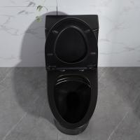 China Comfort Height One-Piece Elongated Dual-Flush Toilet With Skirted Trapway for sale