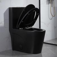 China Matt Black One-Piece Compact Elongated Dual-Flush Toilet With Skirted Trapway for sale