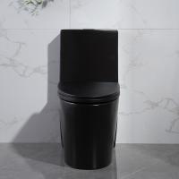 China Matt Black One-Piece Compact Elongated Dual-Flush Toilet With Skirted Trapway for sale