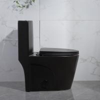 China Matt Black One-Piece Compact Elongated Dual-Flush Toilet With Skirted Trapway for sale