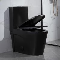 China 1.6 Gpf Matt Black Dual Flush Elongated One Piece Toilet American Standard for sale