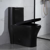 China Ceramic Dual Flush Elongated One Piece Toilet Siphonic 2-1/8