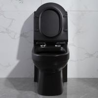 China Low Profile American Standard One Piece Elongated Toilet Tall Black 1.6Gpf for sale
