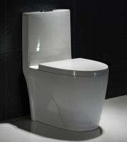 China Top Flush One Piece Elongated Toilet With 11 Inch Rough In Slowdown Seat Cover for sale