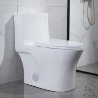 China Public Bathrooms Toilets Iapmo Ada American Standard Elongated Toilet One Piece Water Closet for sale