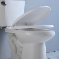 China Elongated Two Piece Wall Mounted Toilet Comfort Height 2 Piece Water Closet for sale