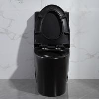 China Siphonic One Piece Elongated Dual Flush Toilet Skirted Trapway 300mm Rough In for sale