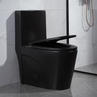 China Siphonic One Piece Elongated Dual Flush Toilet Skirted Trapway 300mm Rough In for sale