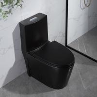 China Siphonic One Piece Elongated Dual Flush Toilet Skirted Trapway 300mm Rough In for sale