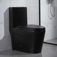 China One-Piece Elongated Dual-Flush Toilet With Skirted Trapway White Black 680mm for sale