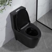 China One-Piece Elongated Dual-Flush Toilet With Skirted Trapway White Black 680mm for sale
