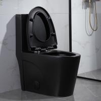 China One-Piece Elongated Dual-Flush Toilet With Skirted Trapway White Black 680mm for sale