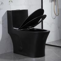 China Elongated Bowl Dual Flush One Piece Toilet With Round Bowl 1.28 GPF/4.8LPF for sale