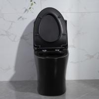 China Elongated Bowl Dual Flush One Piece Toilet With Round Bowl 1.28 GPF/4.8LPF for sale