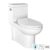 China 1.28GPF/4.8LPF One Piece Elongated Dual Flush Toilet Comfort Height 1 Piece Wc for sale