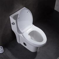 China 1.28GPF/4.8LPF One Piece Elongated Dual Flush Toilet Comfort Height 1 Piece Wc for sale