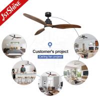 China New Arrival DC Motor 3 Solid Blades Decorative Led Ceiling Fan With Light for sale