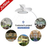 China 30 inch 110V 230V ABS Blades Ceiling Fan With Light 35W DC Motor for sale