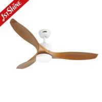 China Outdoor Waterproof IP65 ABS Plastic Ceiling Fan with 52 Inches Blades and Remote Control for sale