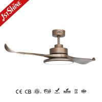 China Color Changing Large Airflow Led Light Ceiling Fan Low Noise 2 Blades for sale