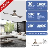 China Color Changing Large Airflow Led Light Ceiling Fan Low Noise 2 Blades for sale