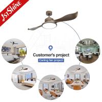 China Color Changing Large Airflow Led Light Ceiling Fan Low Noise 2 Blades for sale