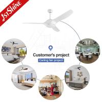 China White 220 Volt Dc Motor Energy Saving Ceiling Fan With No Noise for sale