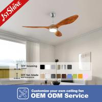 China 3 ABS Blade 52 Inch Plastic Ceiling Fan DCF FS52901 Energy Saving for sale