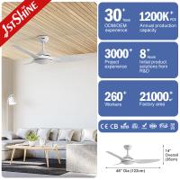 China 3 ABS Plastic Blades DCF-FS52920 DC Motor Ceiling Fan Natural Wind for sale