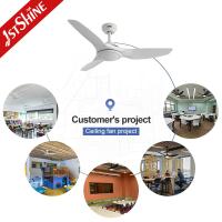 China 3 ABS Plastic Blades DCF-FS52920 DC Motor Ceiling Fan Natural Wind for sale