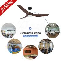China 1stshine Ceiling Fan With Light Modern Plastic Blade Low Noise Dc Motor for sale