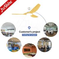 China Plastic Ceiling Fan With Light China Supplier Modern Fandelier Smart App Control for sale