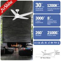 China White Ceiling Fan With Light 5 Plastic Blade DC Motor Energy Saving for sale