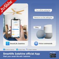 China OEM Smart App Control LED Plastic Blade Ceiling Fan With light Modern Indoor Decoration for sale