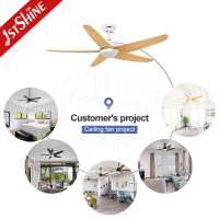 China OEM Smart App Control LED Plastic Blade Ceiling Fan With light Modern Indoor Decoration for sale
