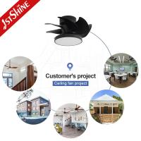 China Decorative Quiet DC Motor Flush Mount Small Ceiling Fan With Led Light for sale