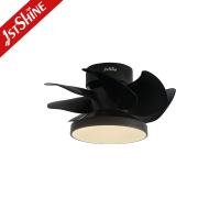 China Decorative Quiet DC Motor Flush Mount Small Ceiling Fan With Led Light for sale
