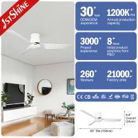 China 52 Inches Ceiling Fan Light White Plastic Blades dc Motor Low Profile Living Room for sale
