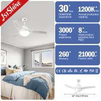 China Mini Color Changing Lighting Small Led Ceiling Fan With Light And Remote for sale