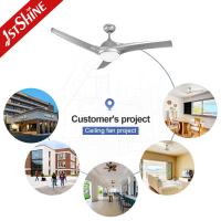 China Warehouse Outdoor Air Cooling Fan 3 Blade Ceiling Fan With Light for sale