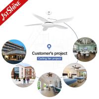 China 48in 230V 5 ABS Blades Decorative Ceiling Fans With Lights for sale