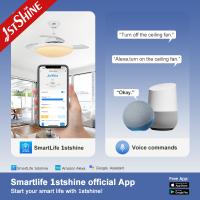 China Smart Wifi Control Small Invisible LED Light Ceiling Fan For Bedroom 42 Inch for sale