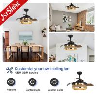 China Rope Cage Hidden Blade Ceiling Fan Light With Remote Control Dc Motor for sale