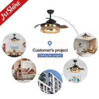 China Rope Cage Hidden Blade Ceiling Fan Light With Remote Control Dc Motor for sale