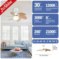 China Decorative Small LED Ceiling Fan Modern 6 Wood Blade Smart Remote Control for sale