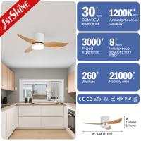 China Low Ceiling Room Small LED Ceiling Fan With Plastic Blades And Remote Control for sale