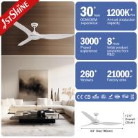 China Mulit Colors White Ceiling Fan With Remote Control Dc Motor 3 Plastic Blade Without Light for sale
