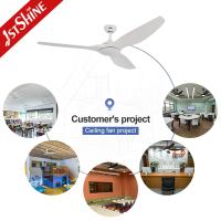 China Mulit Colors White Ceiling Fan With Remote Control Dc Motor 3 Plastic Blade Without Light for sale